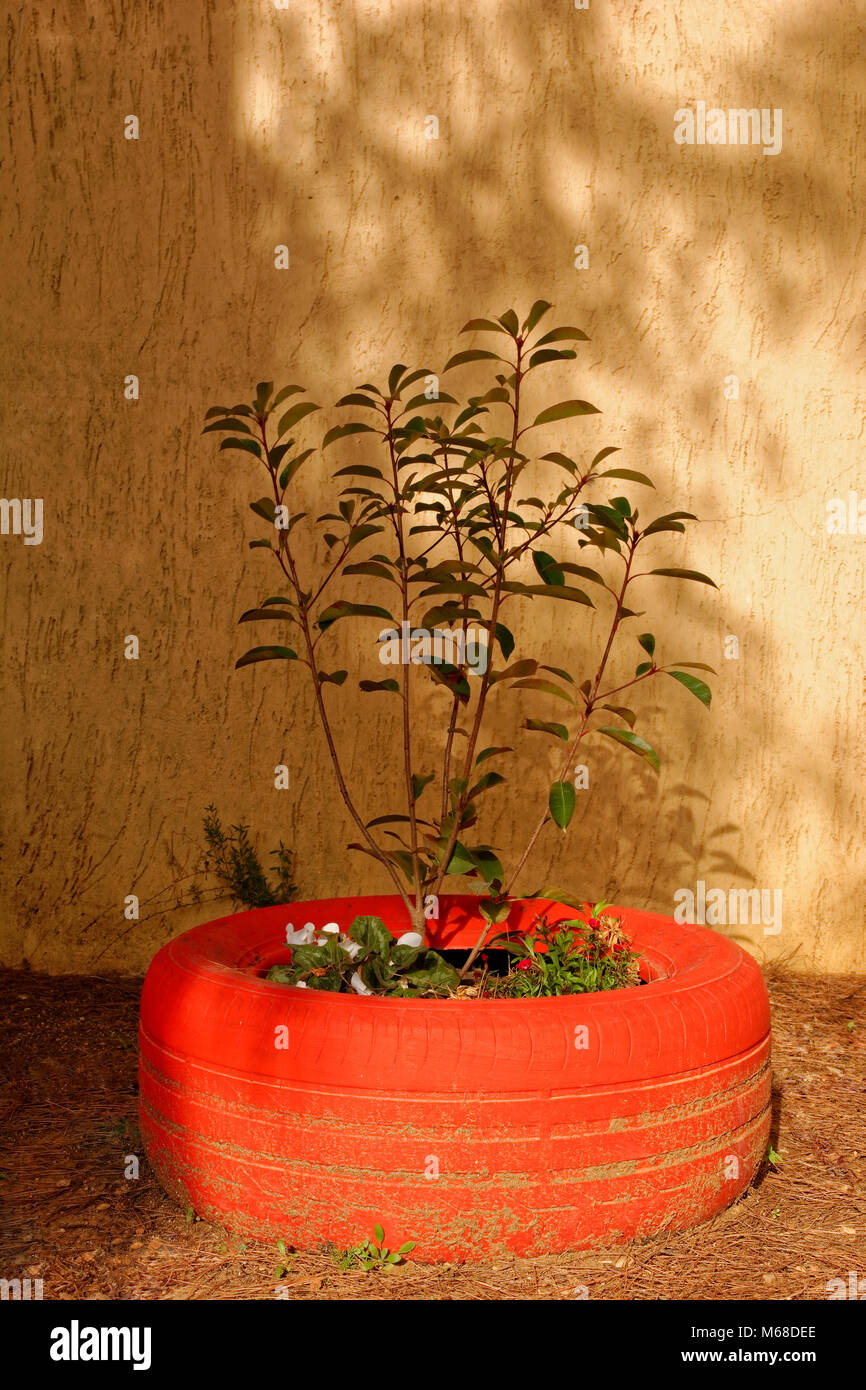 Jardiniere images hi-res stock photography and images - Alamy