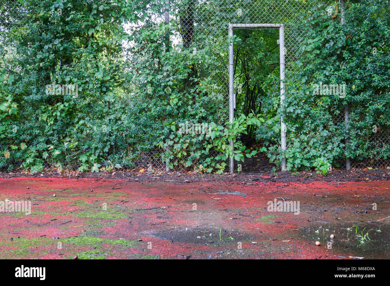 Old training ground hi-res stock photography and images - Alamy