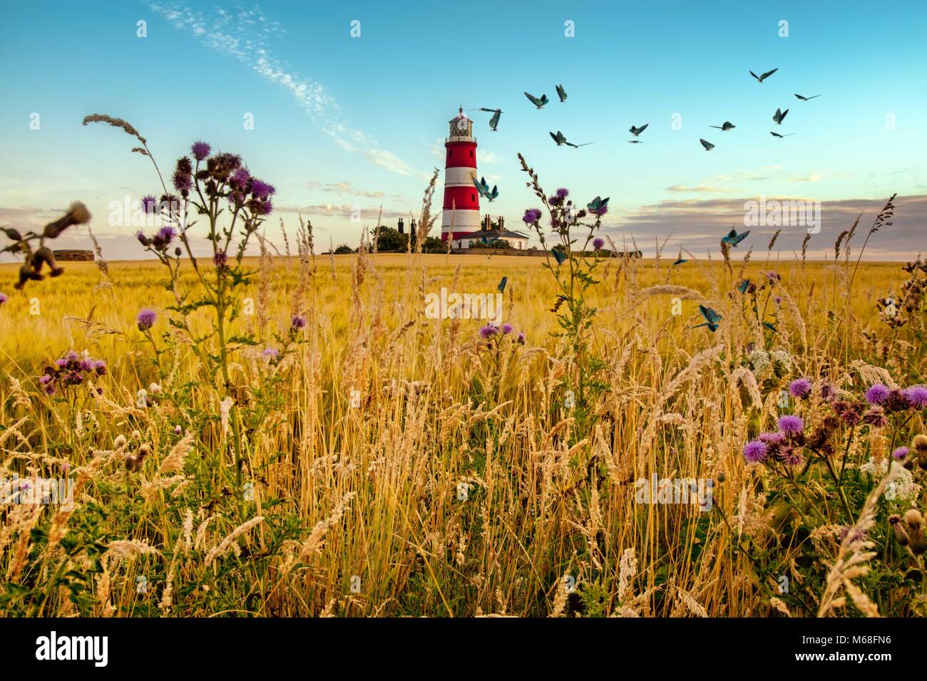 Foregrounds hi-res stock photography and images - Alamy