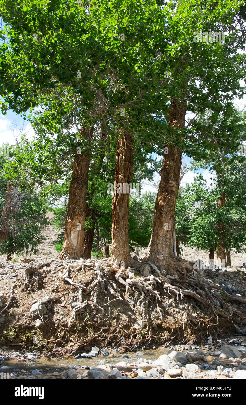 35345 High Resolution Stock Photography and Images - Alamy