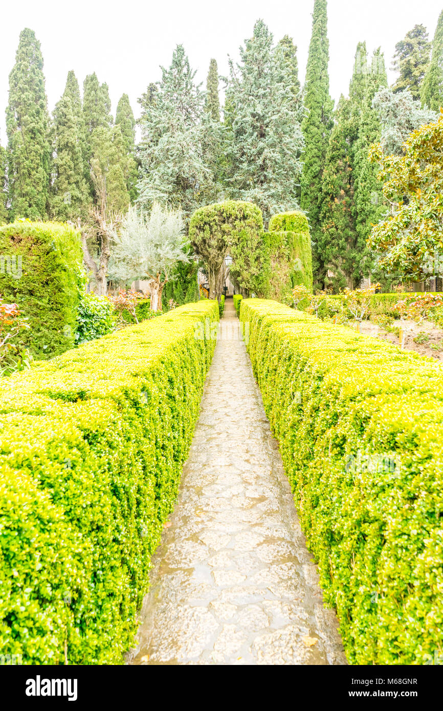 Labyrinth of green shrubs in the city of Valldemossa in the Balearic ...