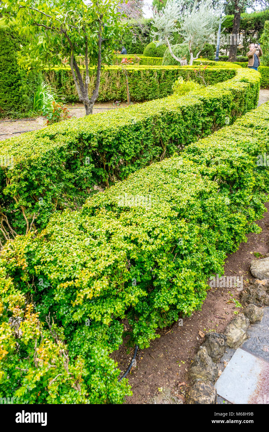 Labyrinth of green shrubs in the city of Valldemossa in the Balearic ...