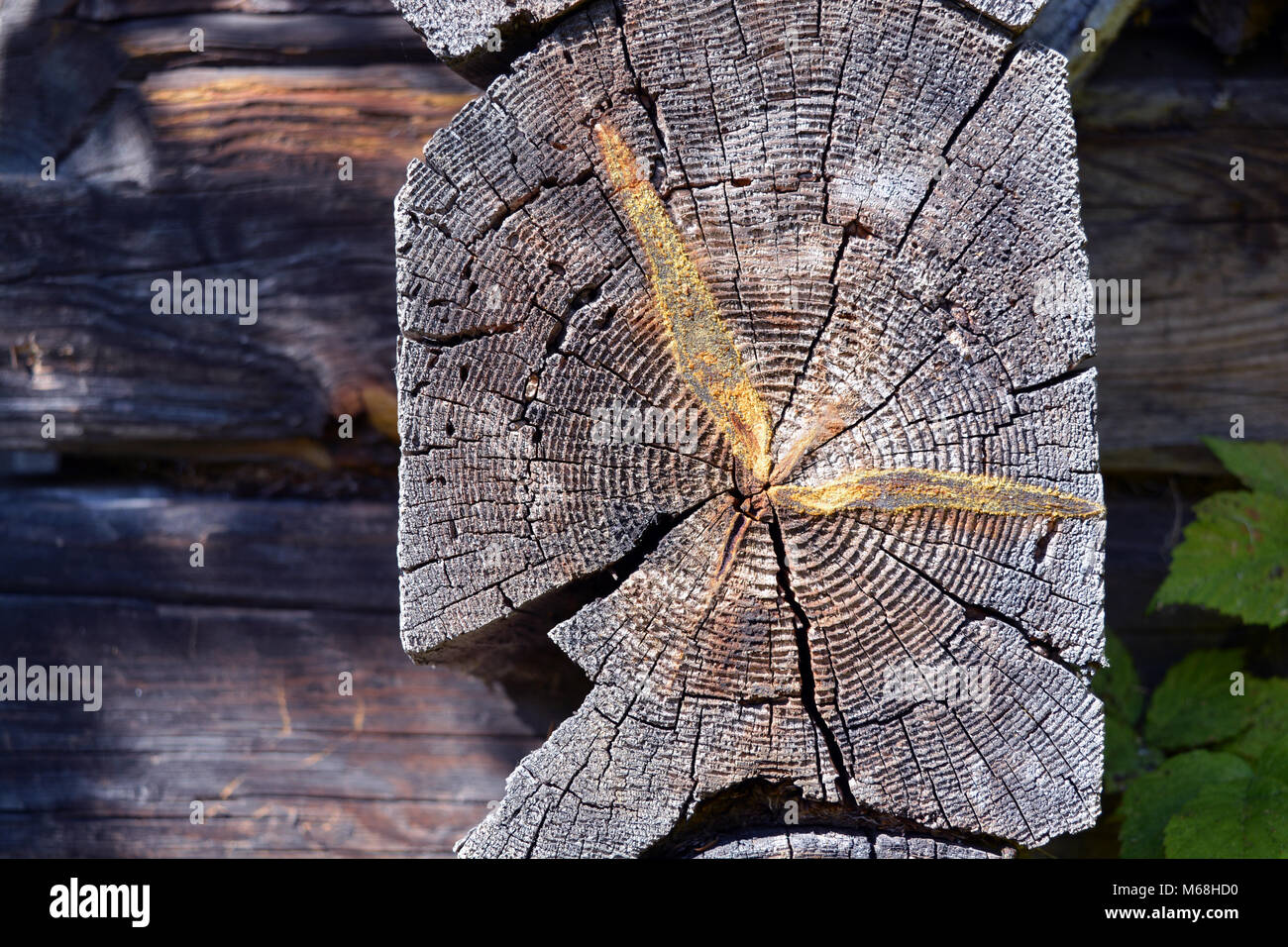 Ancient wooden log barn corner background and texture Stock Photo - Alamy