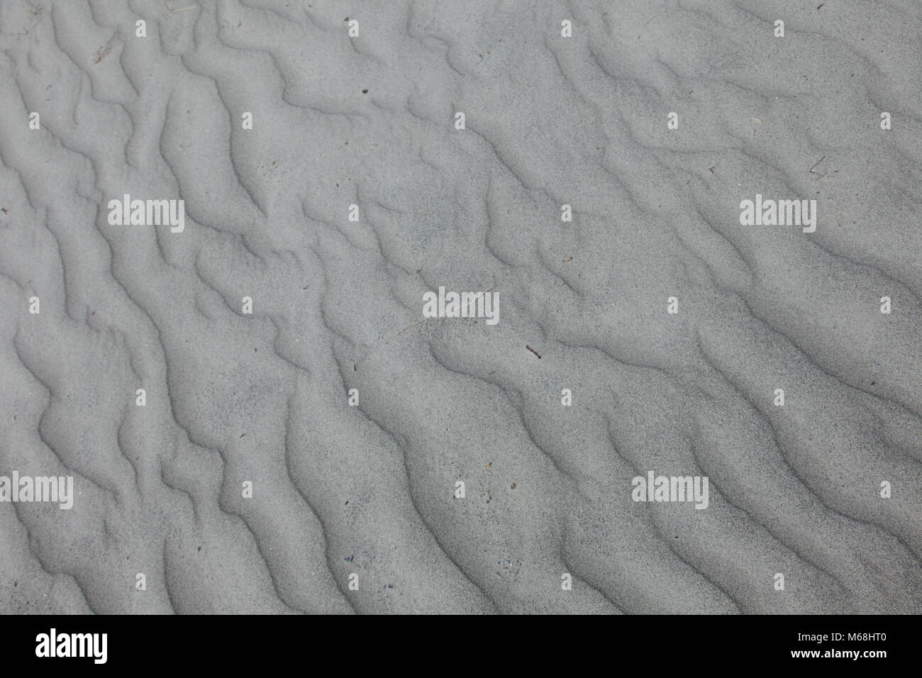 Sand dune gray color close-up Stock Photo - Alamy
