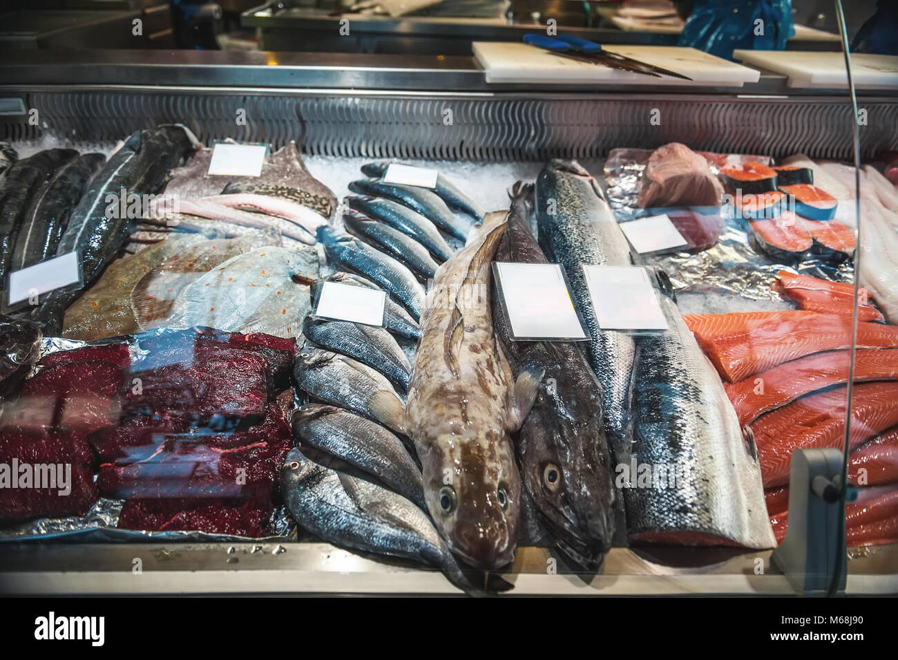 Large display case with cod salmon flounder herring sea bass and whale ...