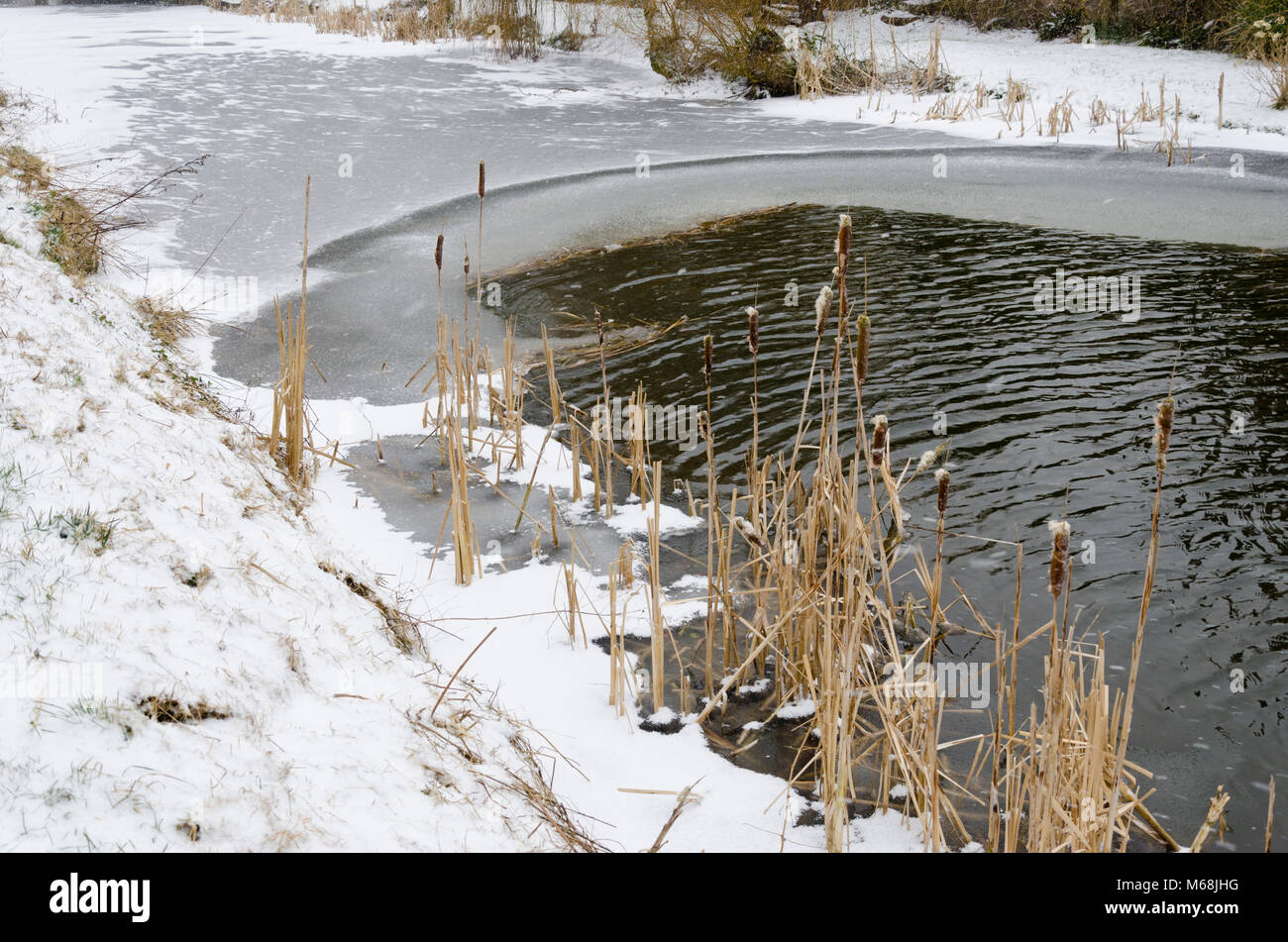 Canal water surface freezing over in cold weather Stock Photo - Alamy