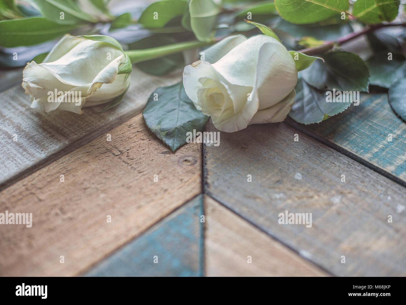 Angular design hi-res stock photography and images - Alamy