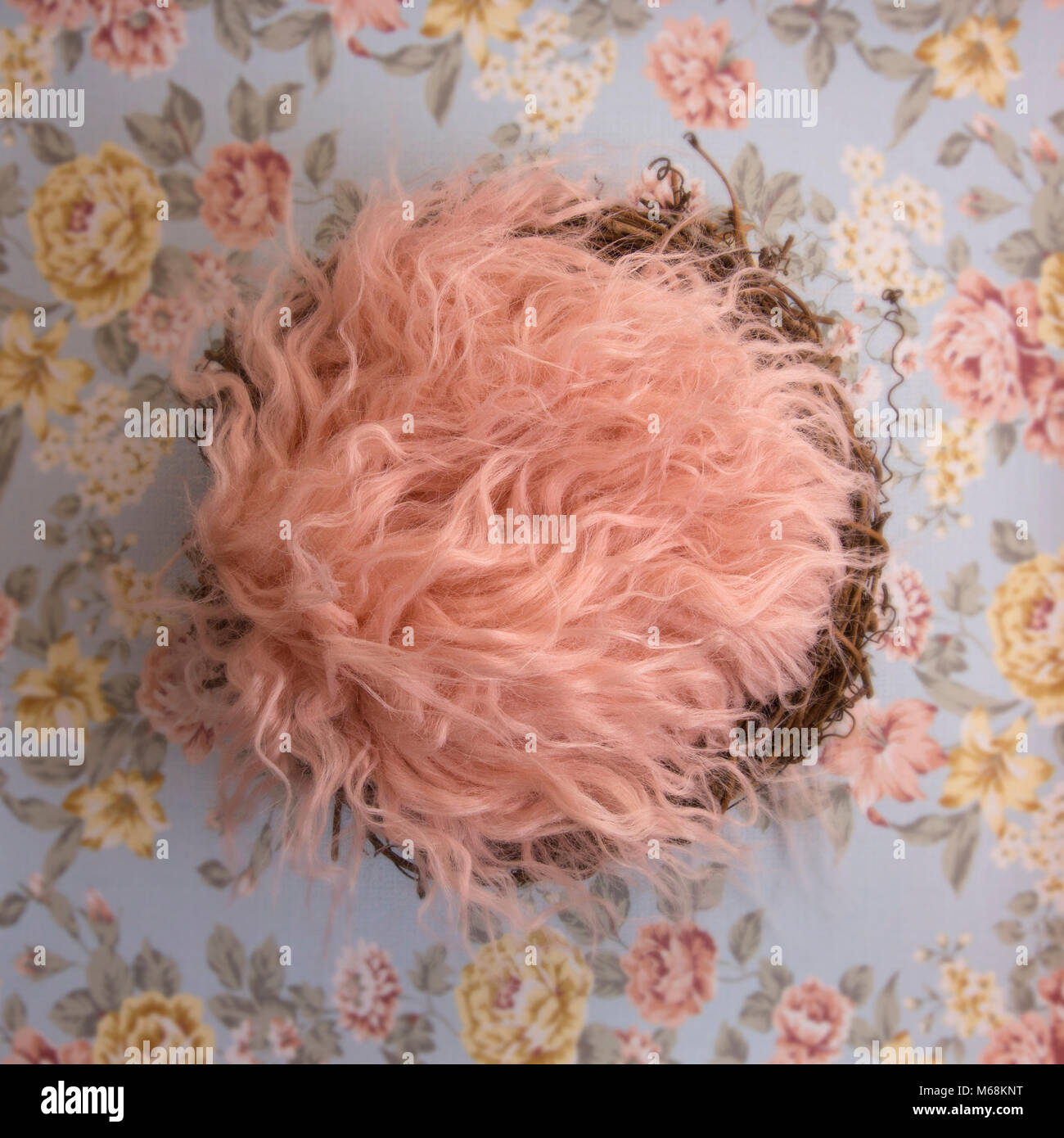 Blue newborn digital backdrop hi-res stock photography and images - Alamy