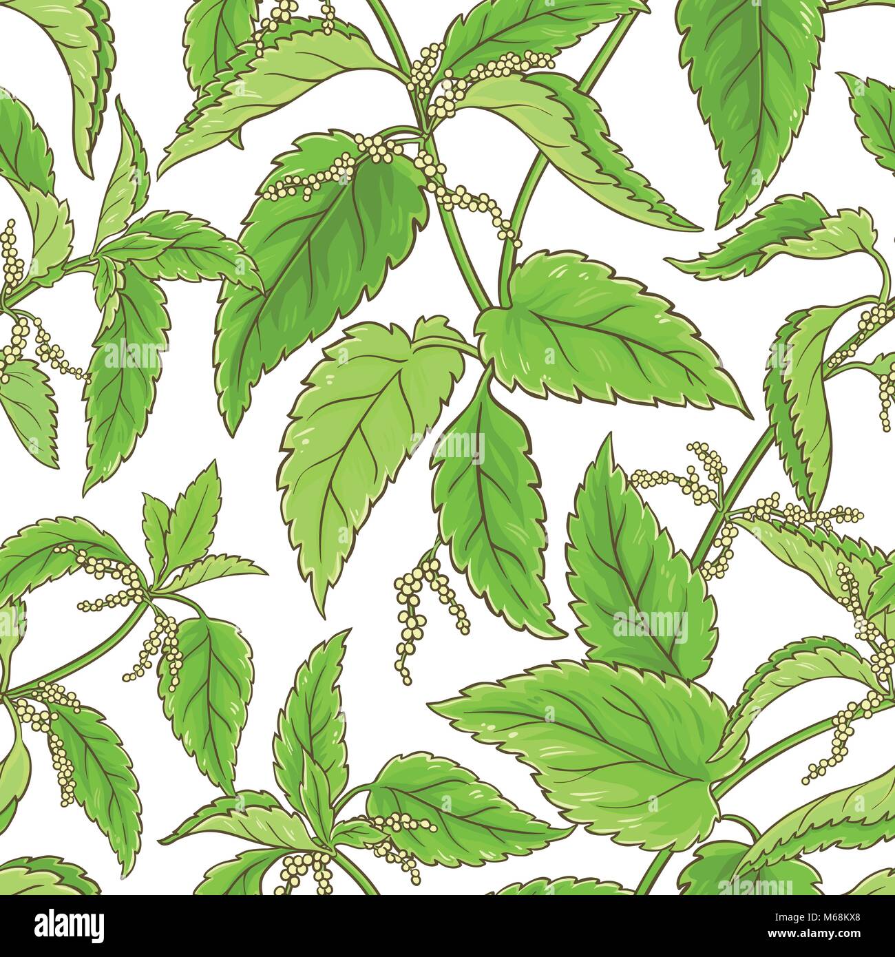 nettle plant vector pattern on white background Stock Vector Image ...