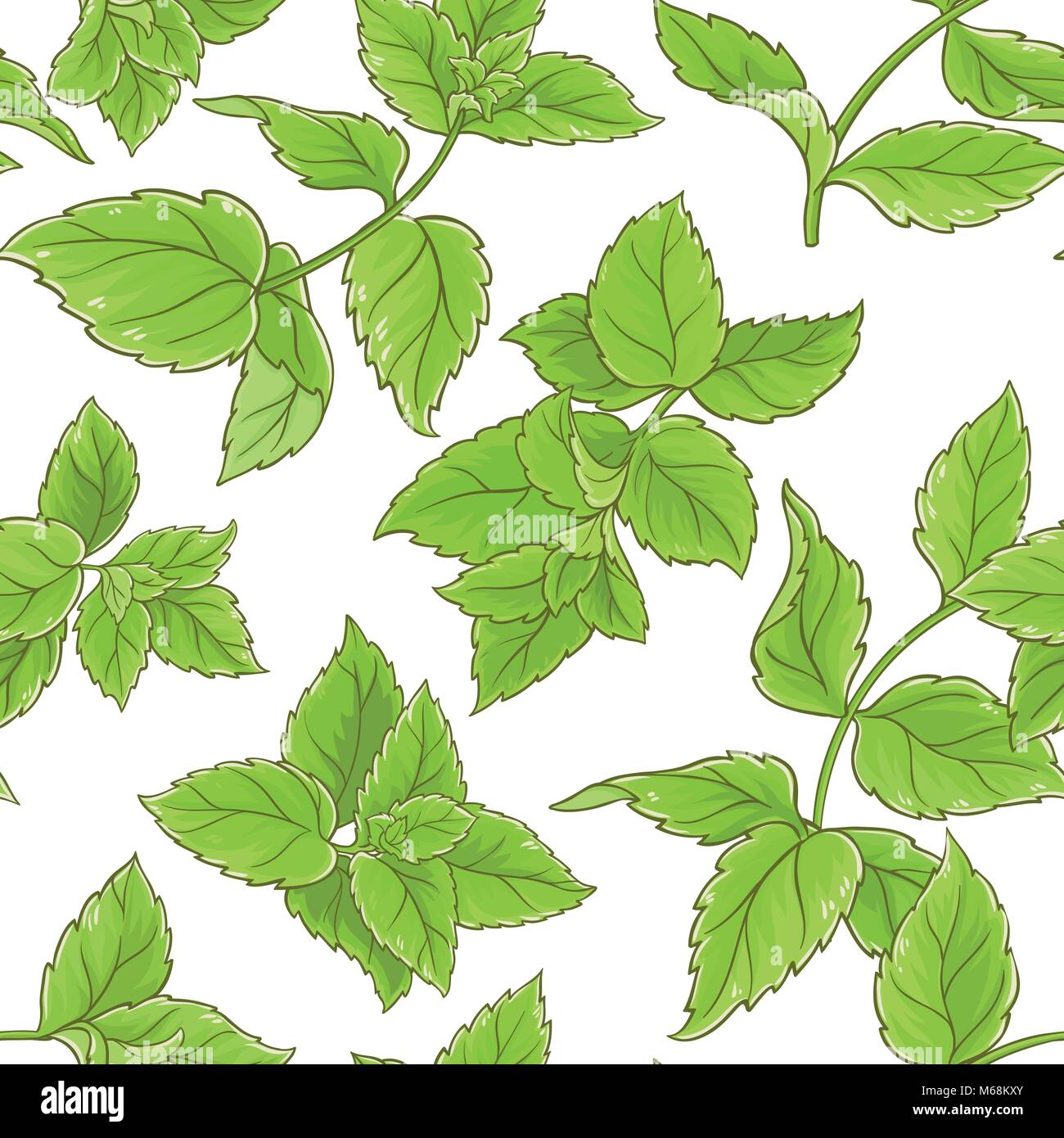 peppermint plant vector pattern on white background Stock Vector Image ...