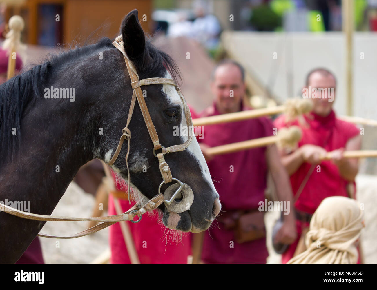 Roman reenactment rome hi-res stock photography and images - Alamy