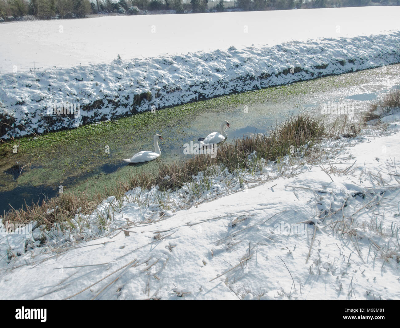 Thanet kent snow hi-res stock photography and images - Alamy