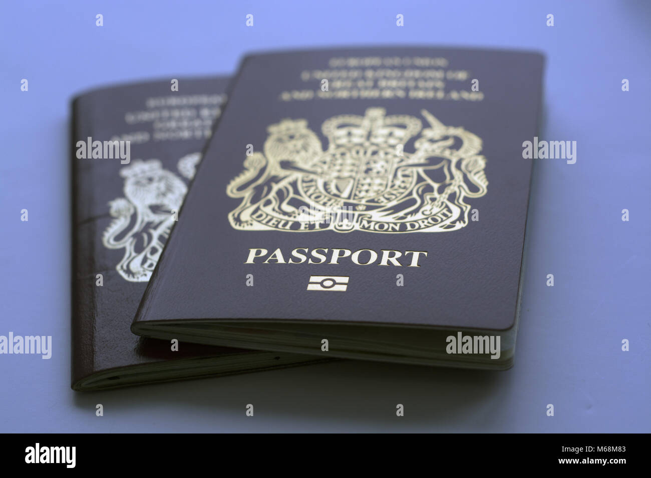Identification documents hi-res stock photography and images - Alamy