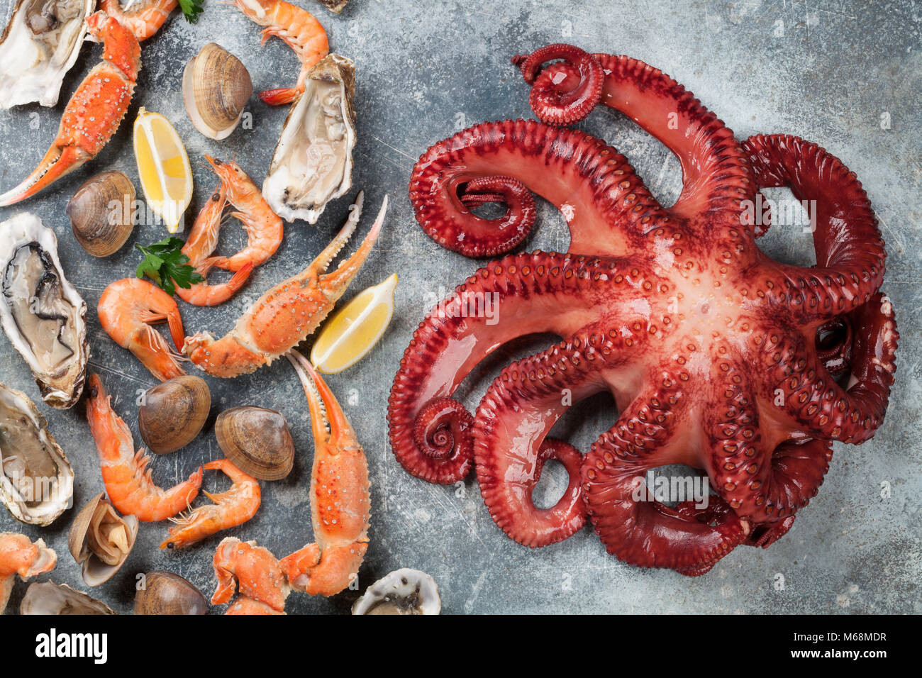 Seafood. Octopus, oysters, lobster, clams. Top view on stone table ...