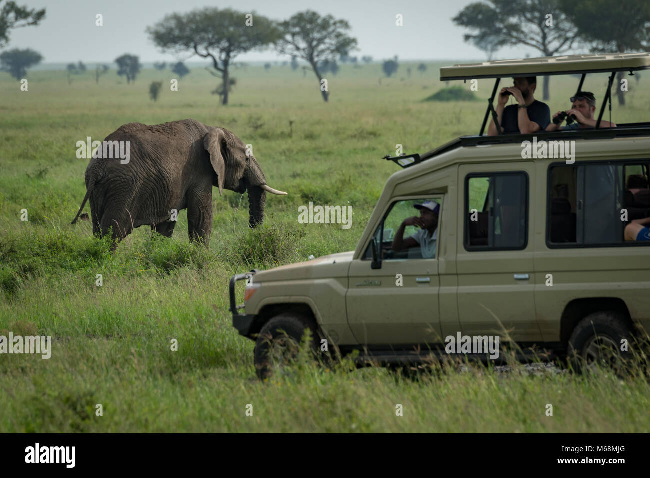 Behind jeep hi-res stock photography and images - Alamy