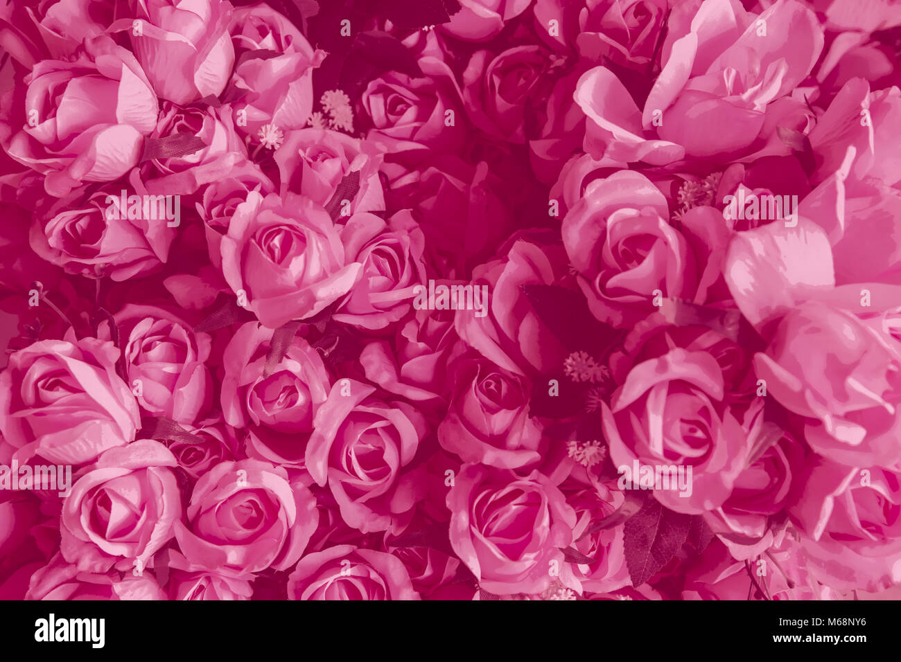 Pink rose wedding love background with art effect for valentines day ...