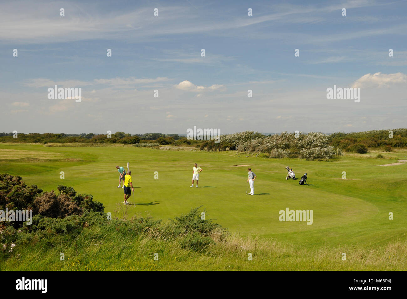 View down over Gorse bushes to 12th Green with Golfers and Golf course ...