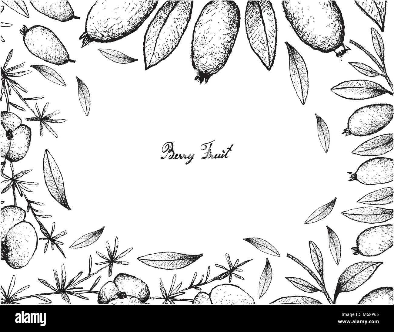 Berry Fruit, Illustration Frame of Hand Drawn Sketch of Fresh Asparagus ...