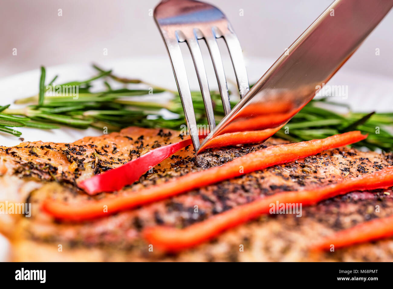Iridescent shark hi-res stock photography and images - Alamy