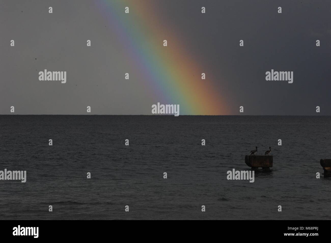 Commonwealth of Dominica, Caribbean Stock Photo - Alamy