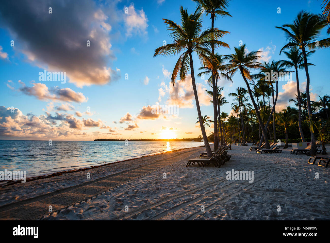 Tropical beach with palm trees and ocean Stock Photo - Alamy