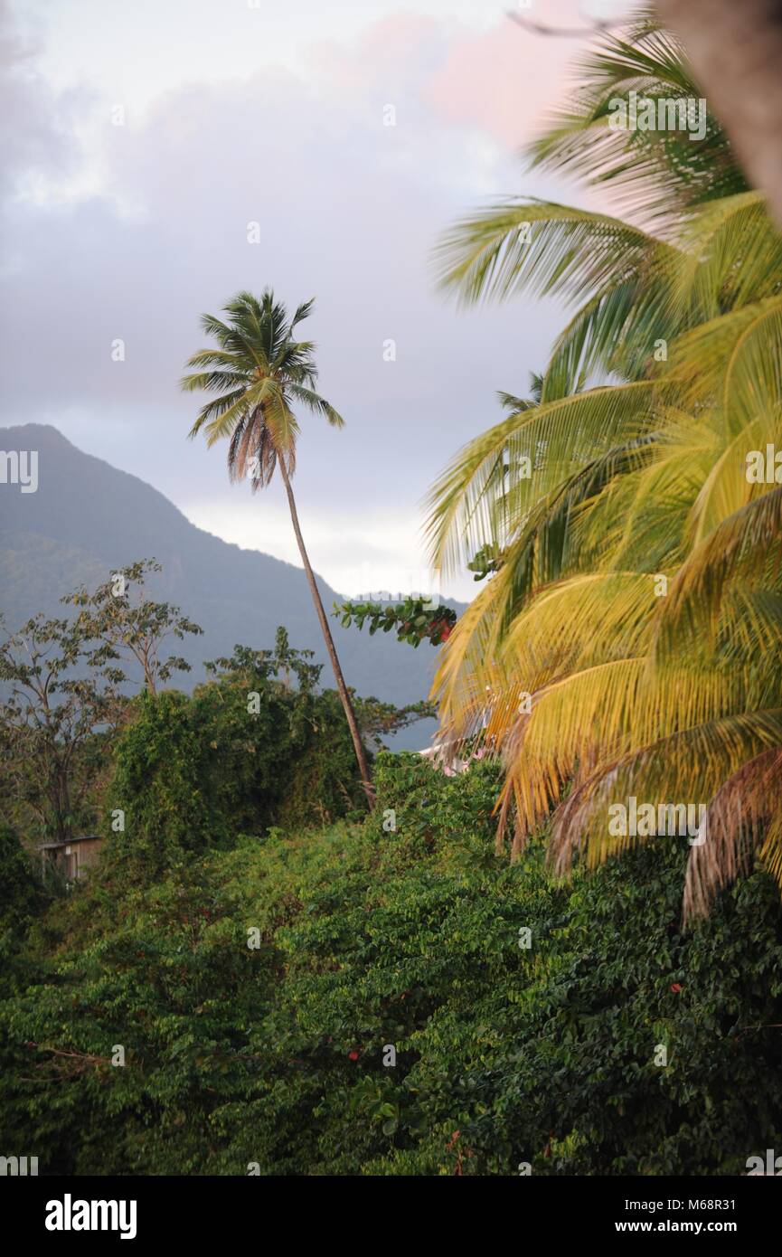 Commonwealth of Dominica, Caribbean Stock Photo - Alamy