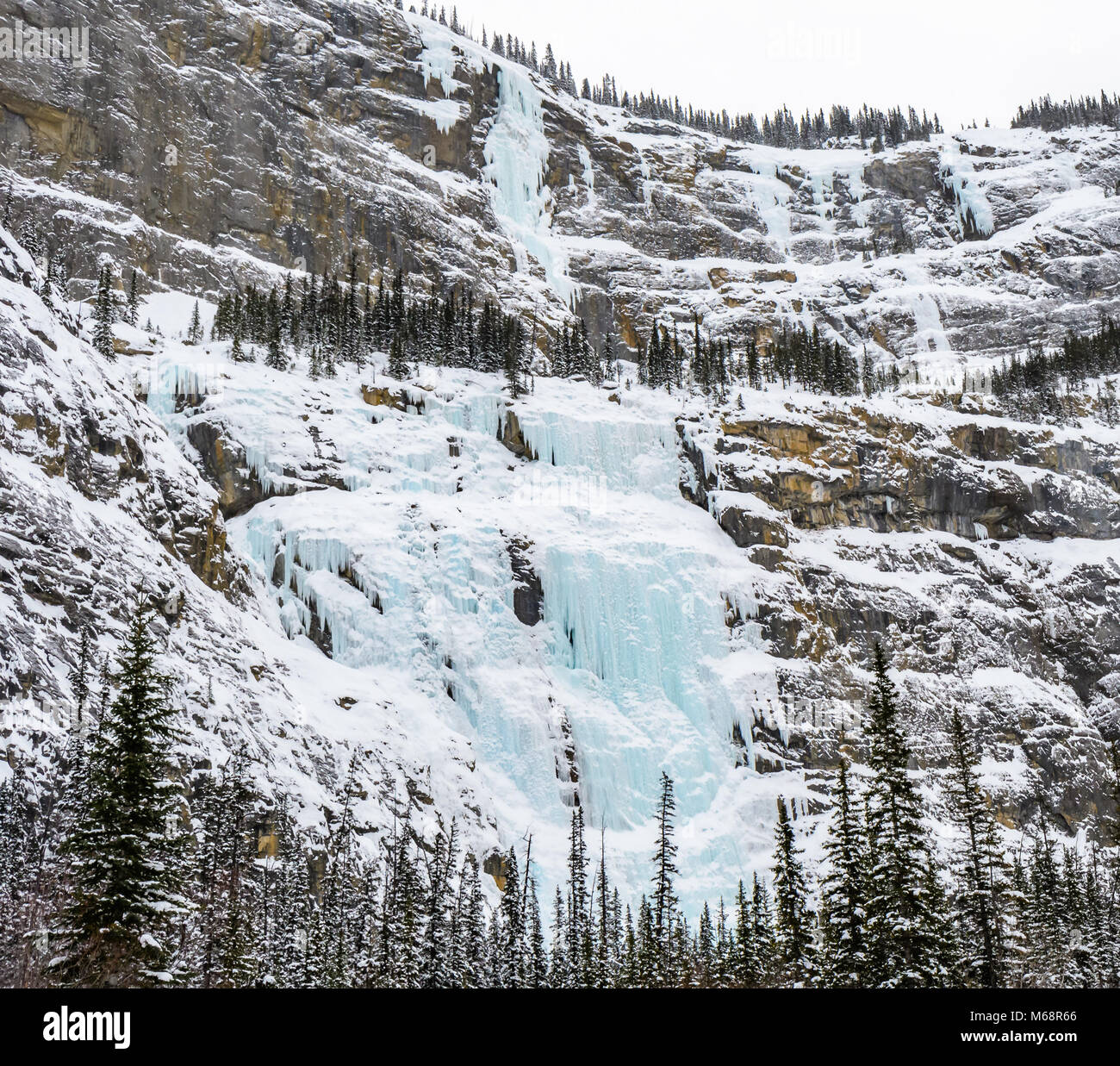 Weeping wall canada hi-res stock photography and images - Alamy