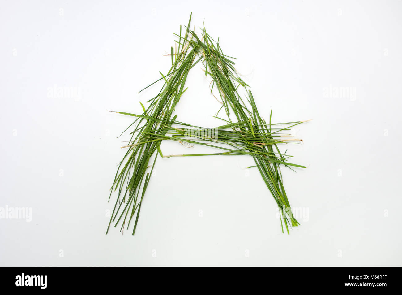 Letters of alphabet written with fresh green grass Stock Photo - Alamy