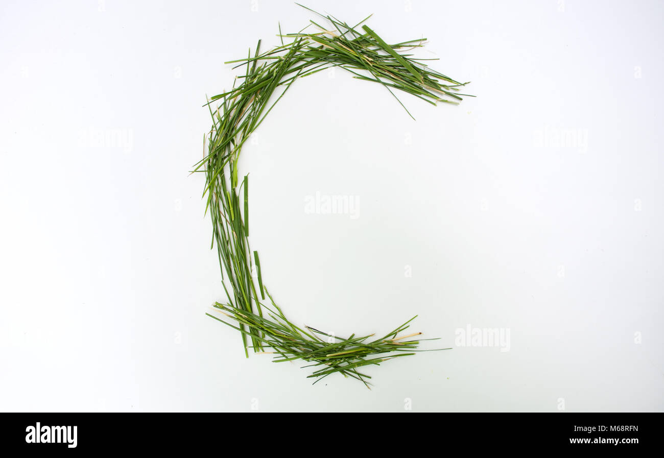 Letters of alphabet written with fresh green grass Stock Photo - Alamy