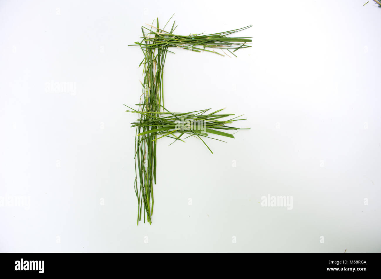 Letters of alphabet written with fresh green grass Stock Photo - Alamy