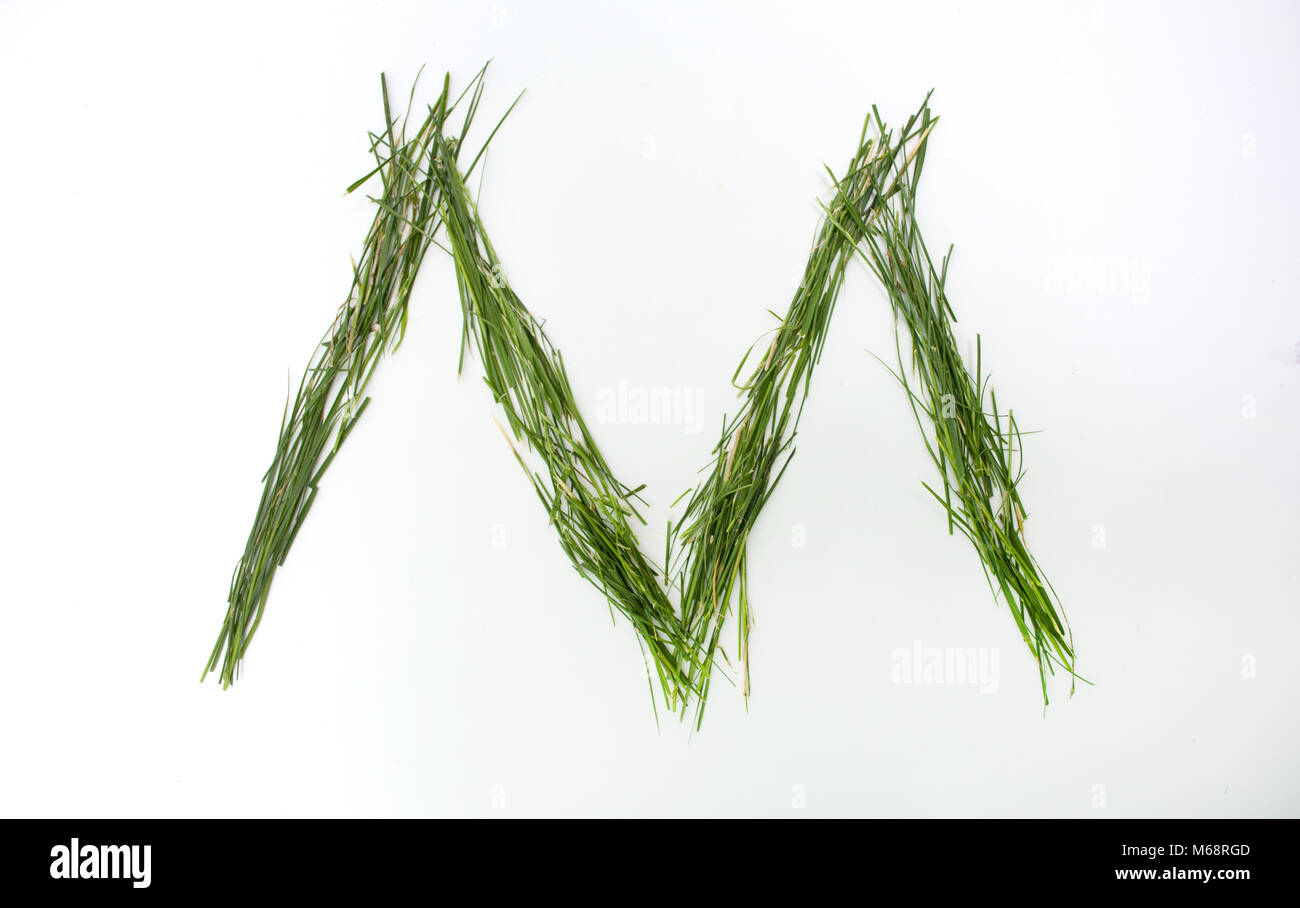 Letters of alphabet written with fresh green grass Stock Photo - Alamy