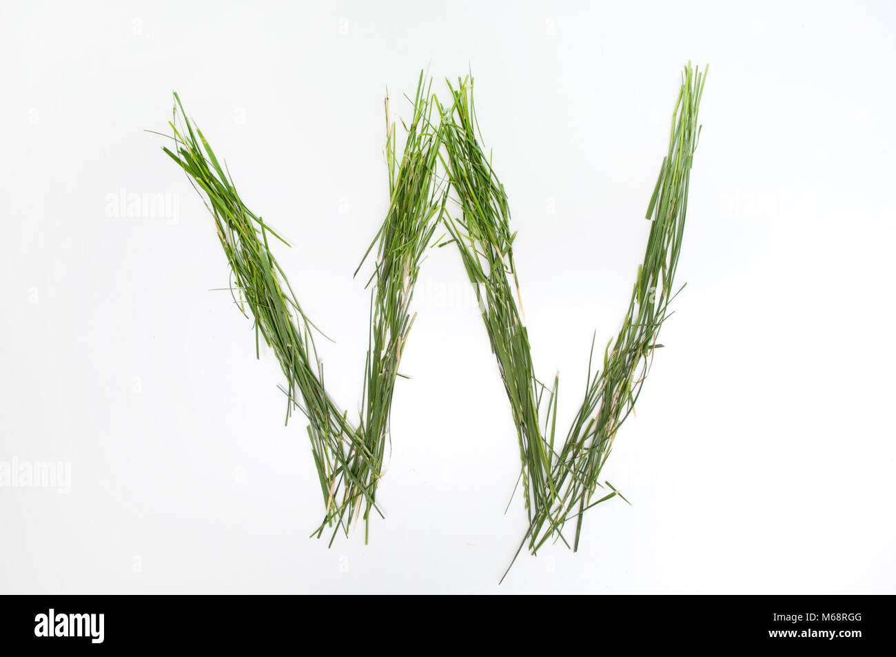 Letters of alphabet written with fresh green grass Stock Photo - Alamy