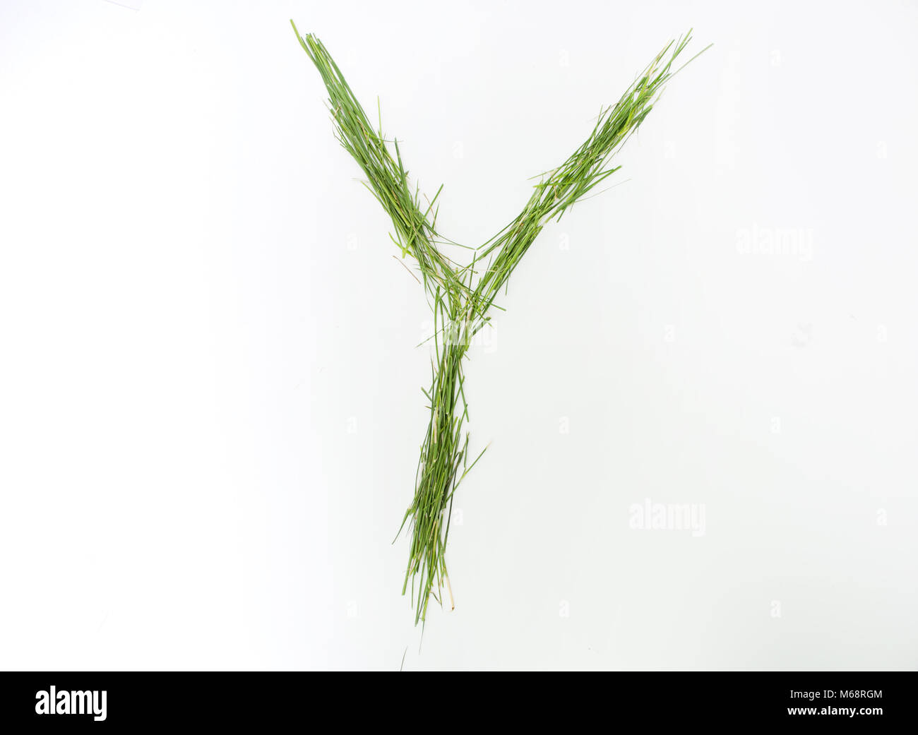Letters of alphabet written with fresh green grass Stock Photo - Alamy