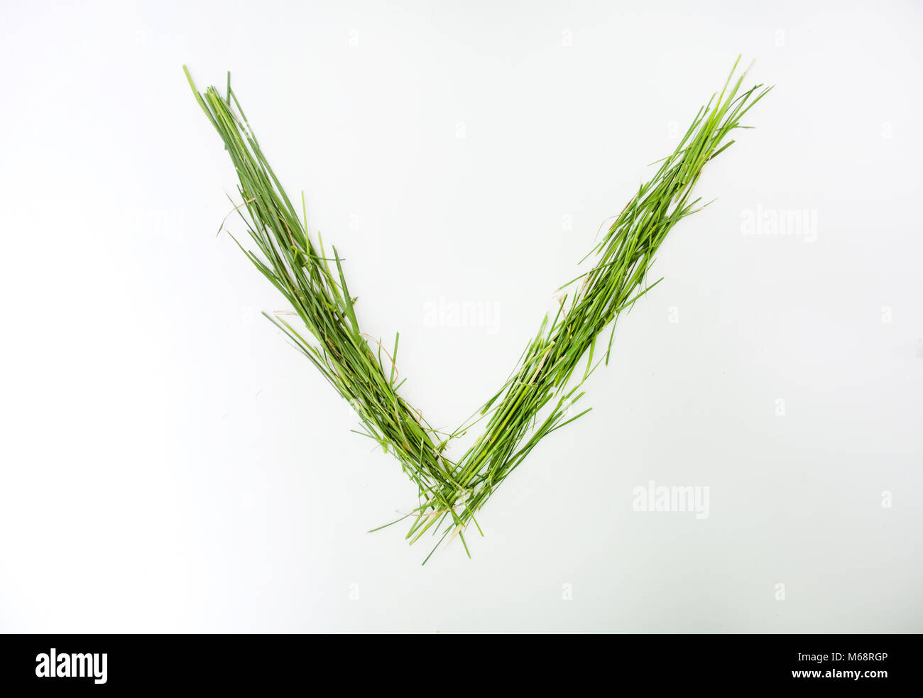 Letters of alphabet written with fresh green grass Stock Photo - Alamy