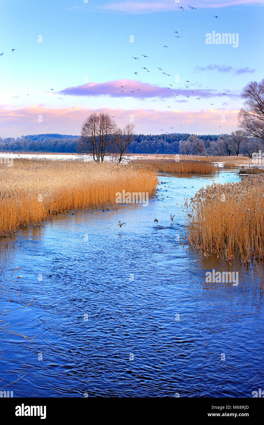 Winter landscape of woods and river covered with ice and snow in ...