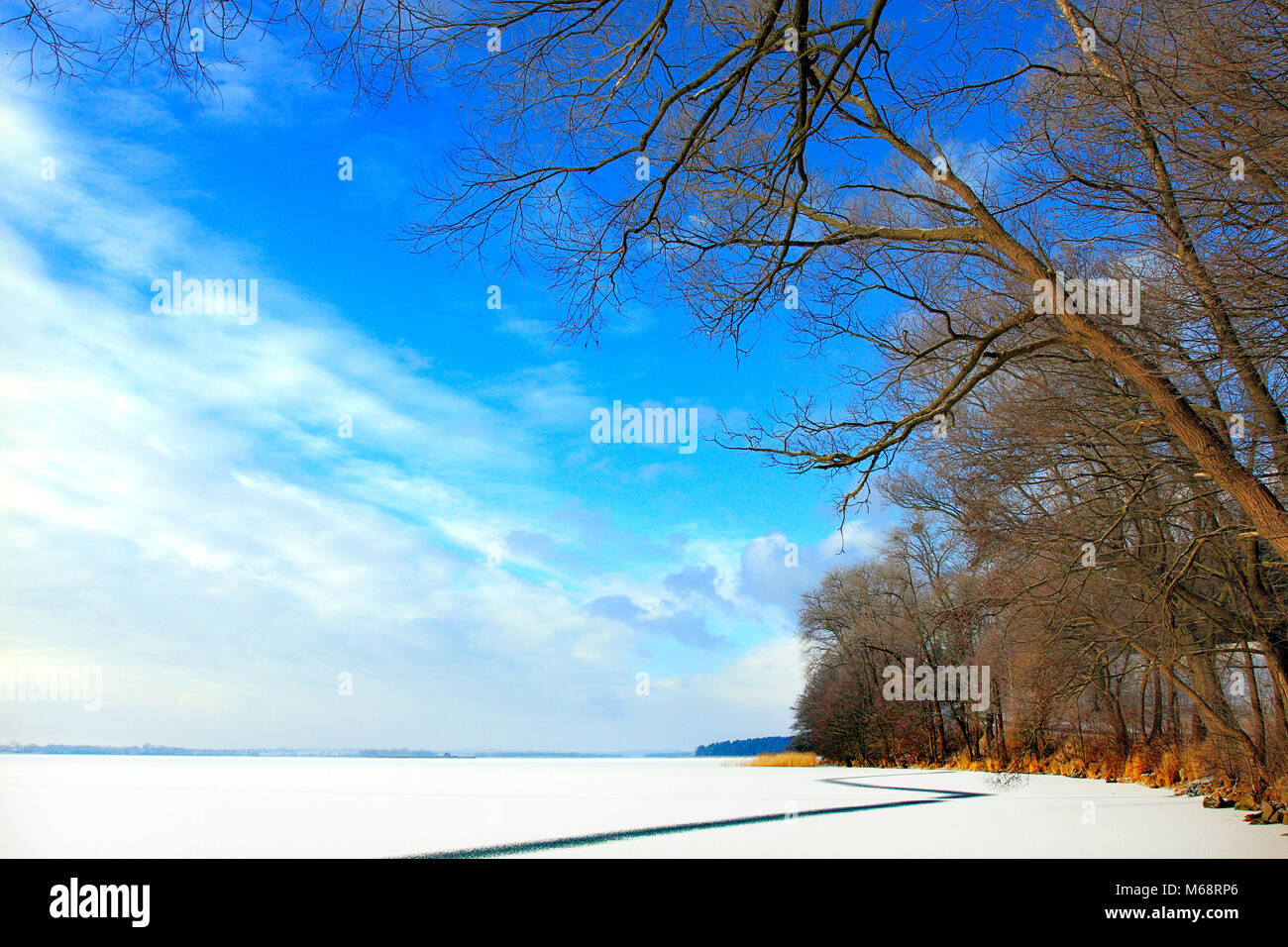 Winter landscape with frozen lake surface and woods in Masuria lakes ...