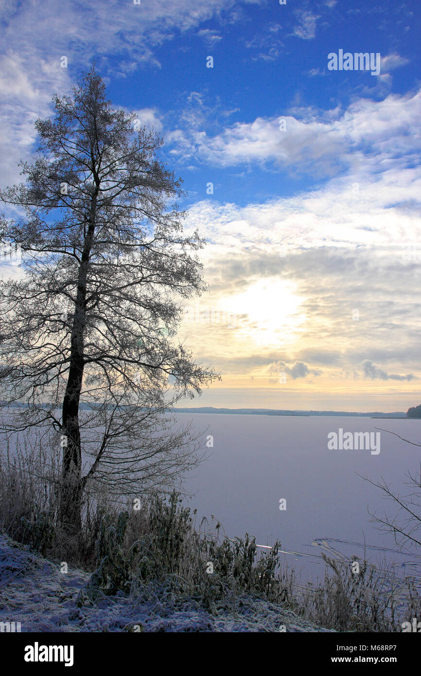 Winter landscape with frozen lake surface and woods in Masuria lakes ...