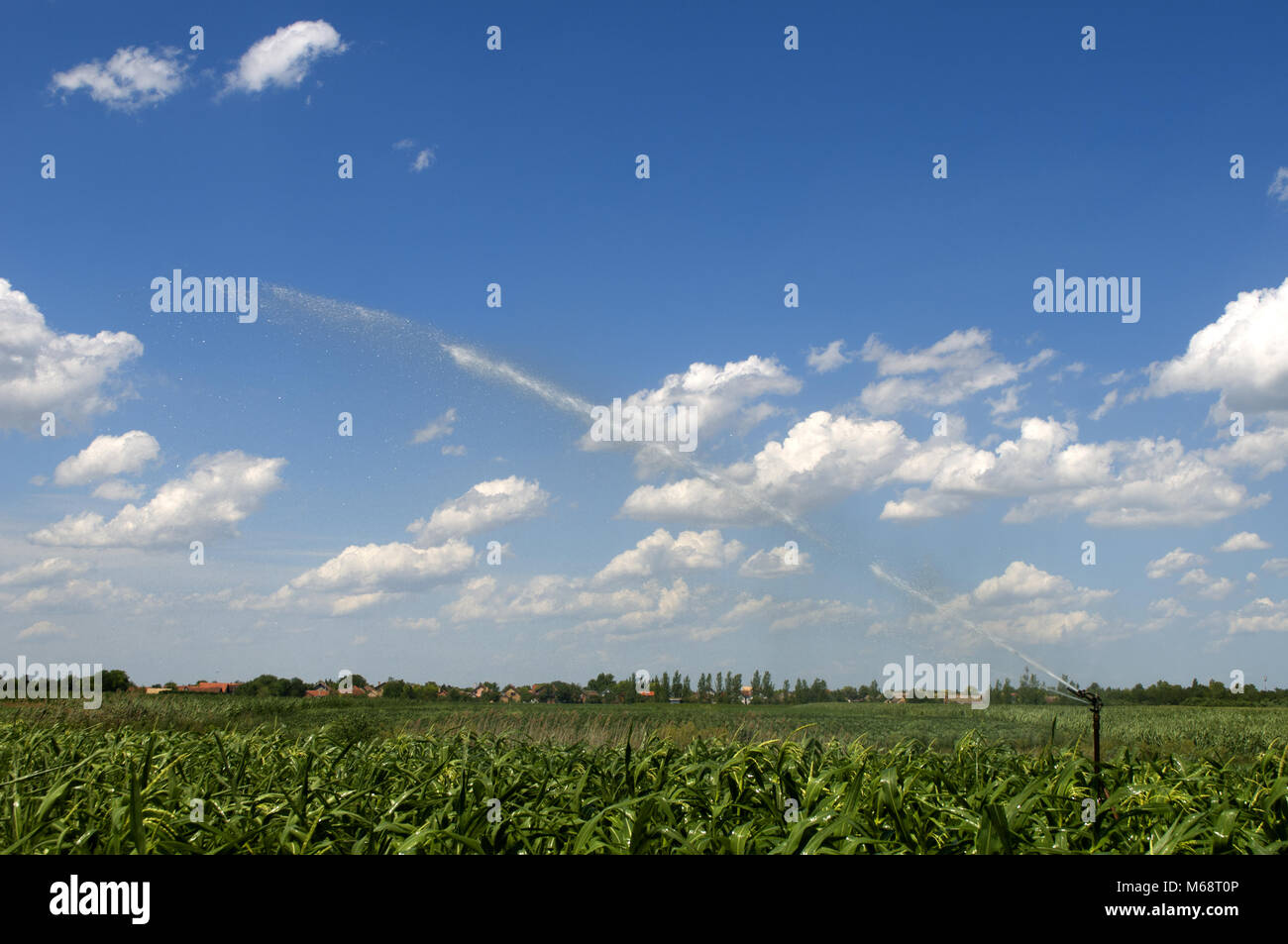 Watering corn hi-res stock photography and images - Alamy