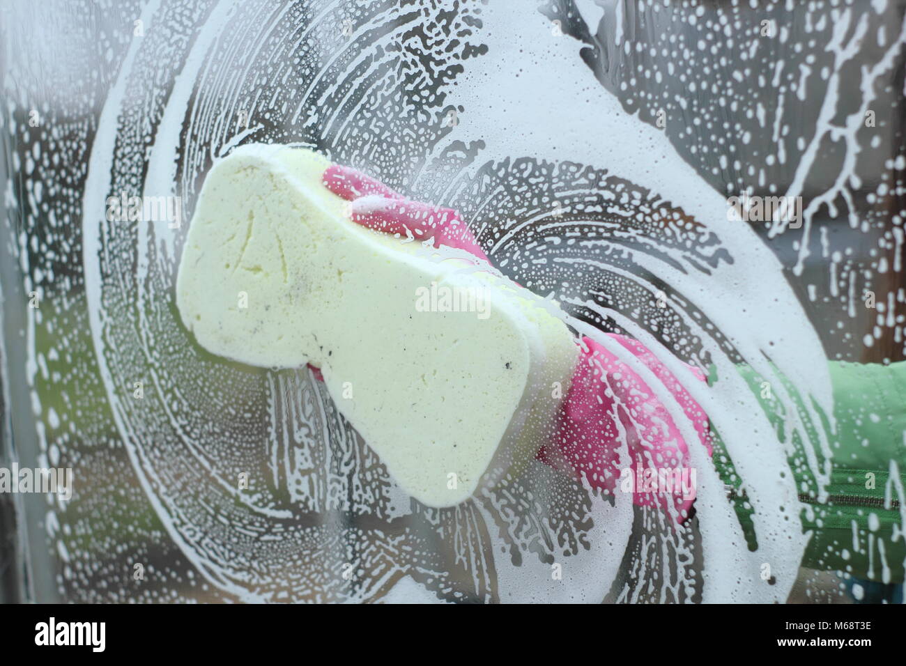 Clean the greenhouse hi-res stock photography and images - Alamy