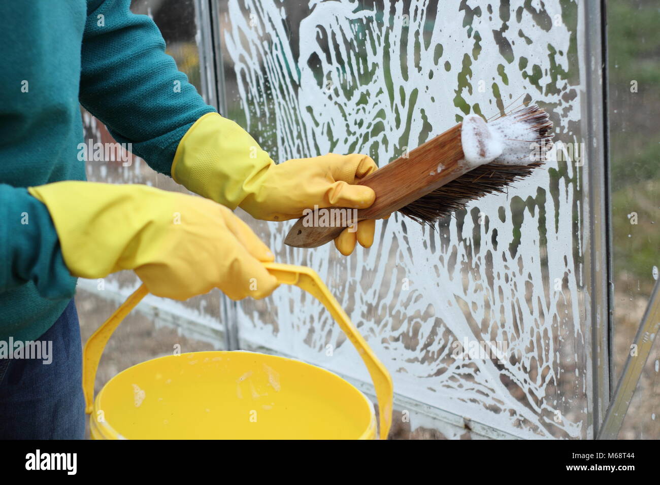 Washing greenhouse window hi-res stock photography and images - Alamy