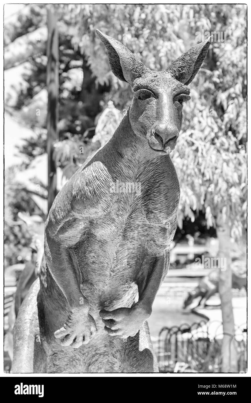 Kangaroo Statue High Resolution Stock Photography and Images - Alamy