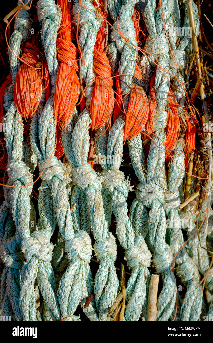 Plastic netting washed up hi-res stock photography and images - Alamy