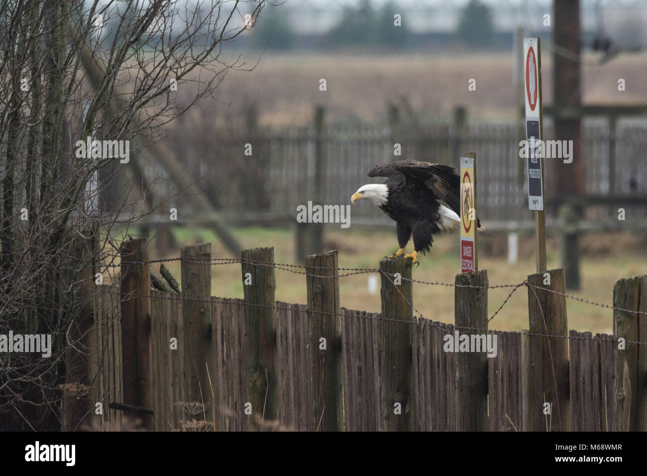 Eagle warning sign hi-res stock photography and images - Alamy
