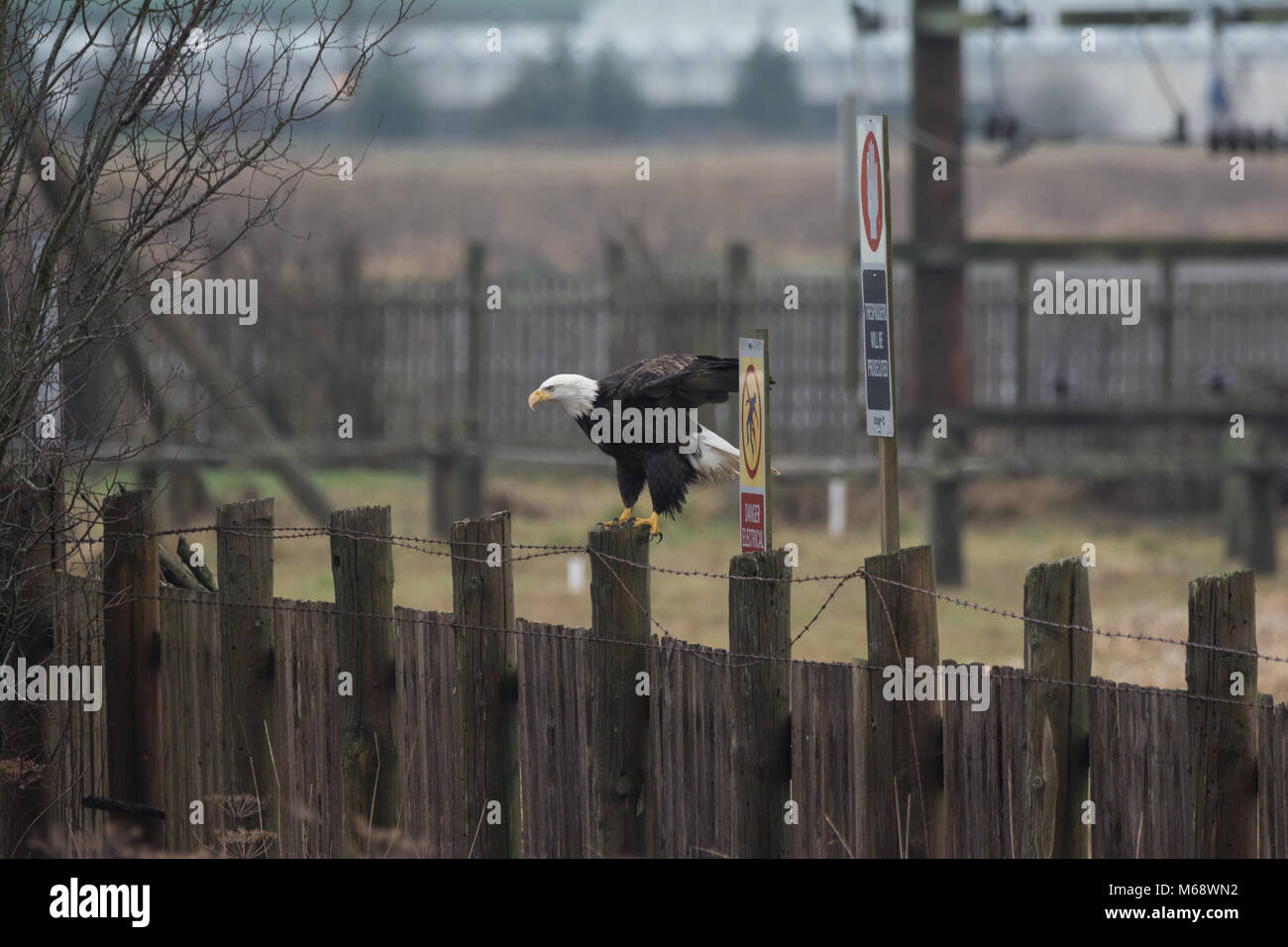 Eagle warning sign hi-res stock photography and images - Alamy