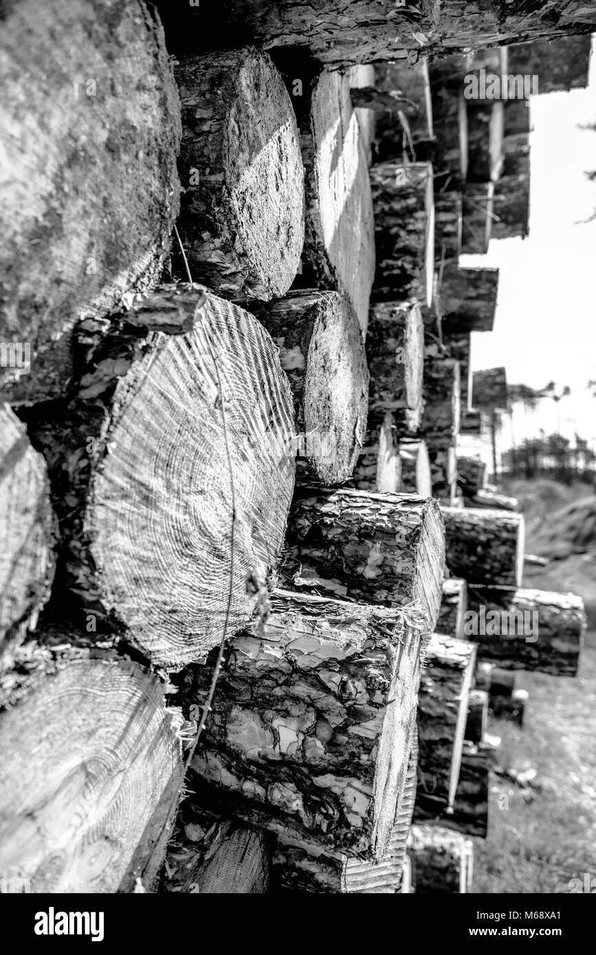 Logging Black and White Stock Photos & Images - Alamy