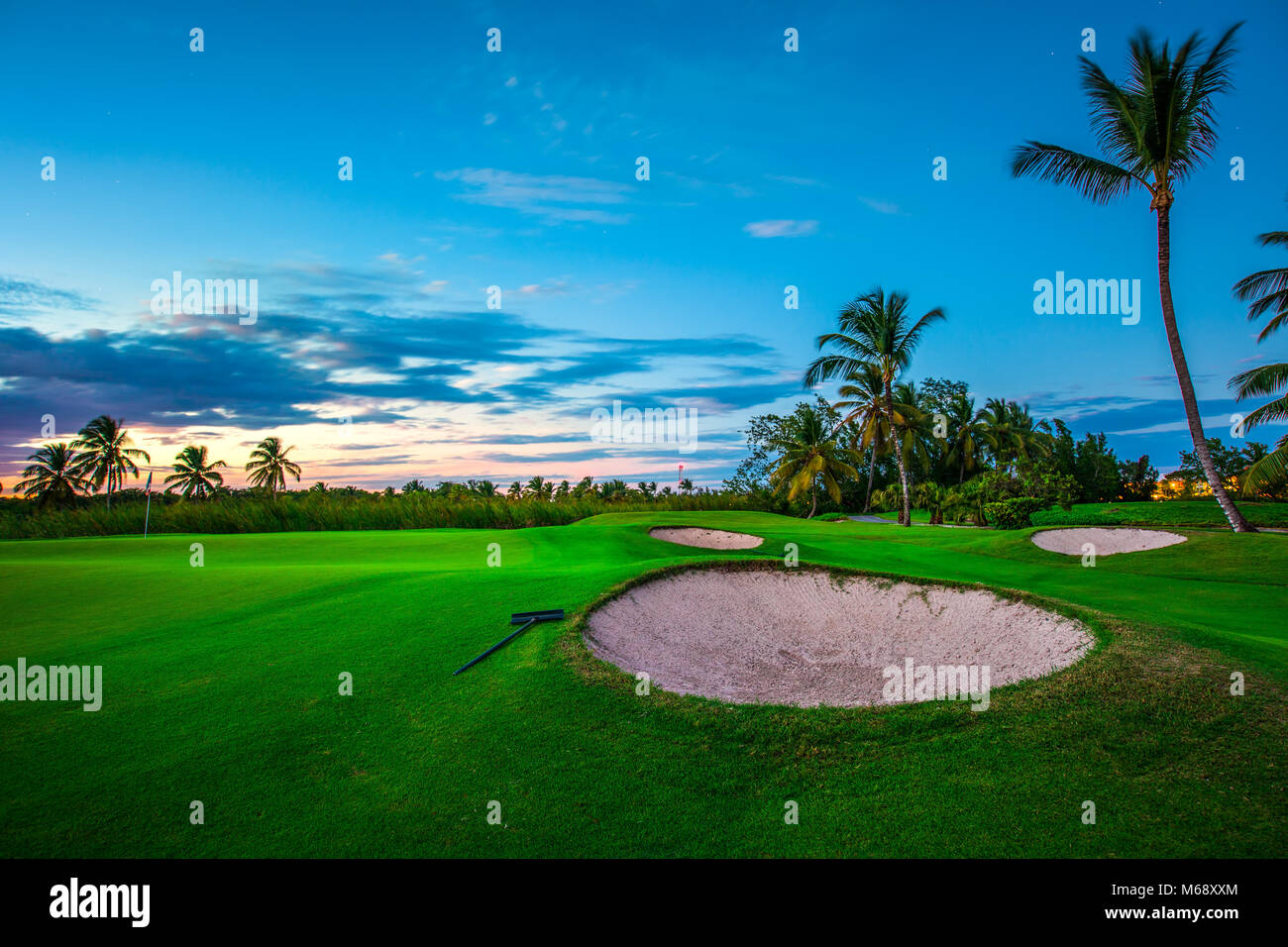 Golfing palm hi-res stock photography and images - Alamy