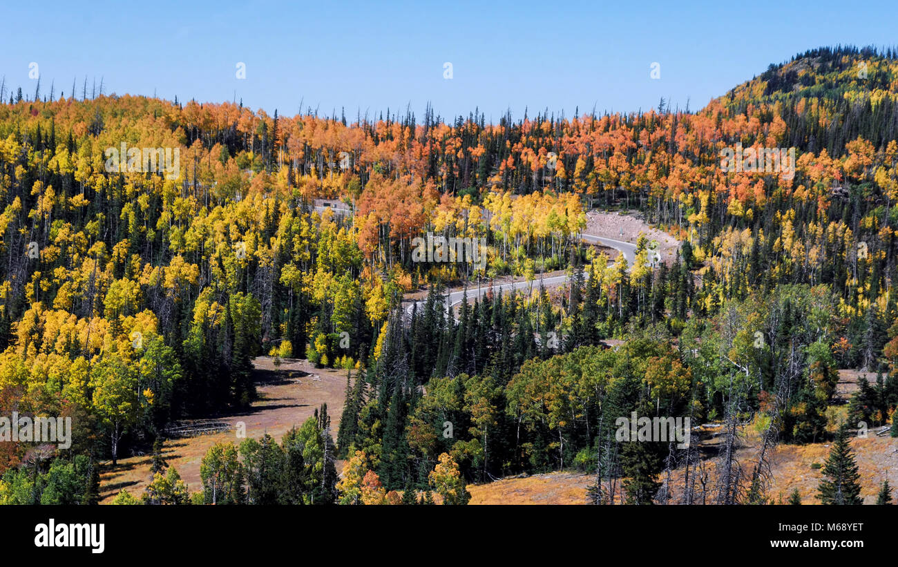 Cedar breaks nat monument hi-res stock photography and images - Alamy
