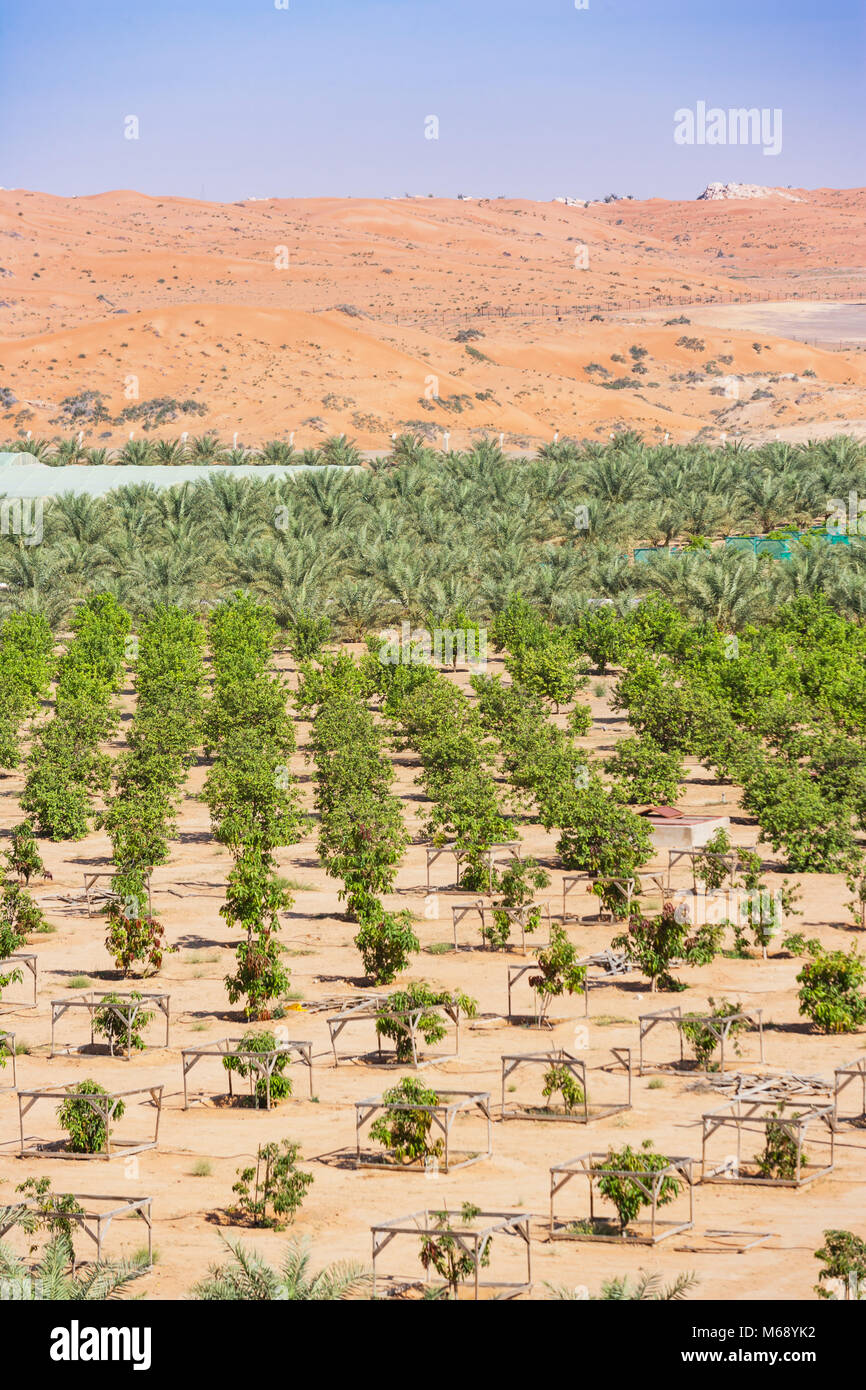 Gcc food hi-res stock photography and images - Alamy