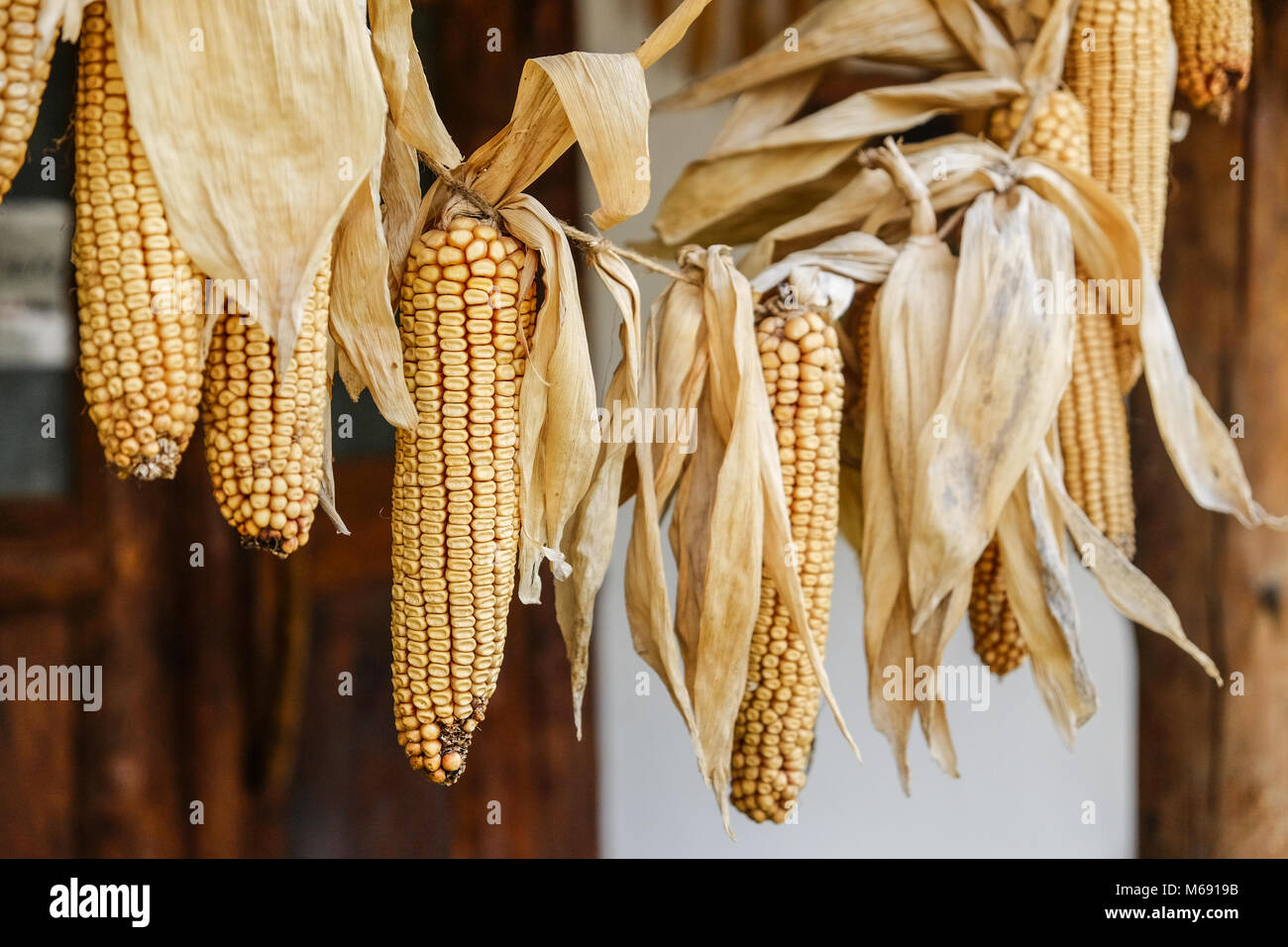 Decorative corn in hanging in a traditional peasant house Stock Photo ...