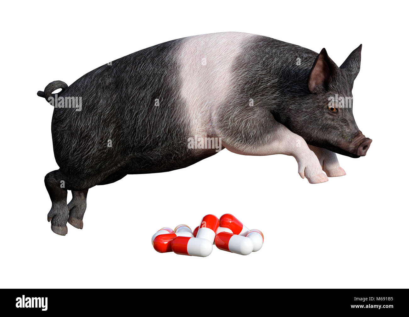 3d rendering pig jumping hi-res stock photography and images - Alamy